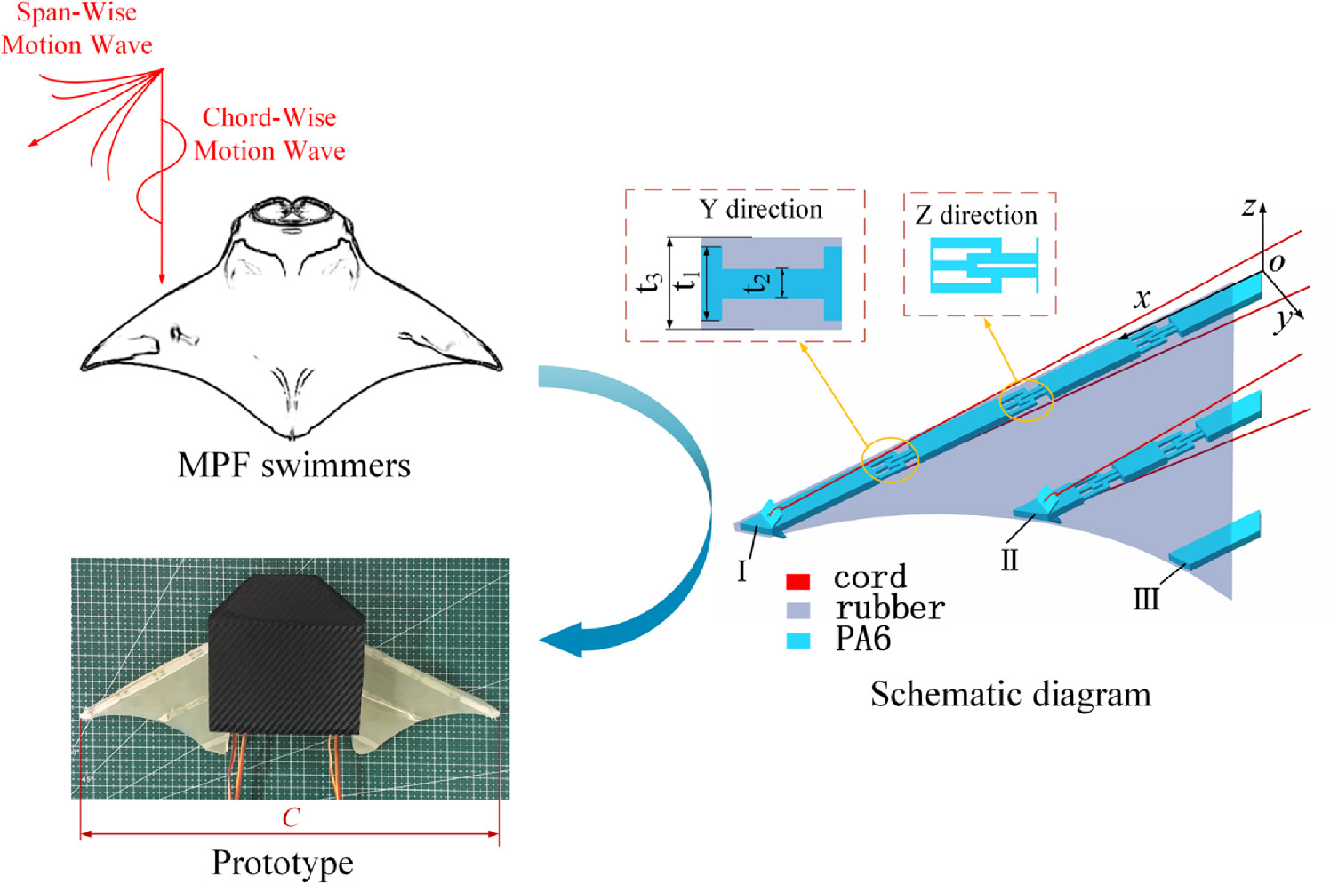 Design of the novel flexible pectoral fin structure with large swing ...