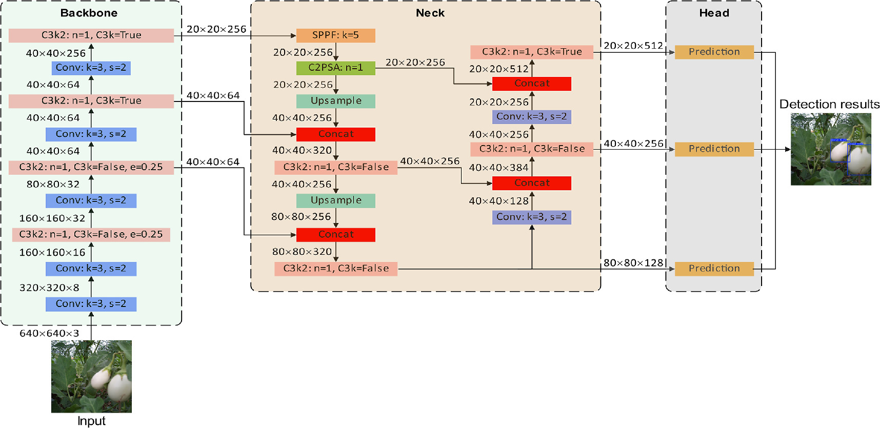 Improved YOLO-based real-time brinjal detection algorithm for vision modules in harvesting ...