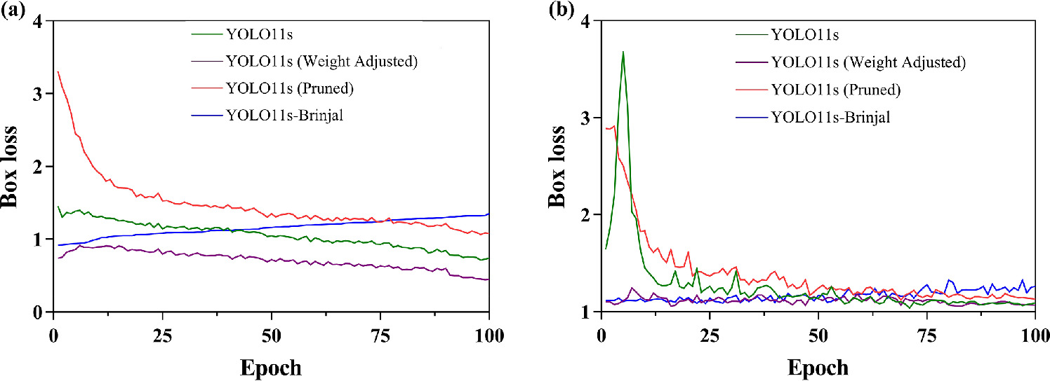 Improved YOLO-based real-time brinjal detection algorithm for vision modules in harvesting ...
