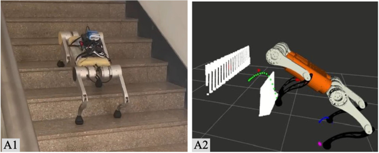 Local perception-based autonomous stair climbing method for quadruped ...