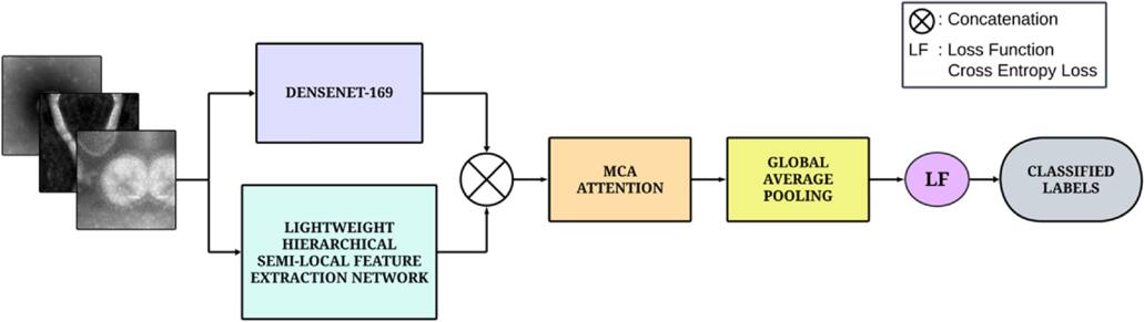 Virus-FusionNet: an explainable deep learning-based approach for virus ...
