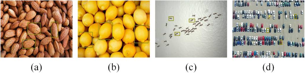 Attention-enhanced density regression attention-aware for class-agnostic few-shot object ...