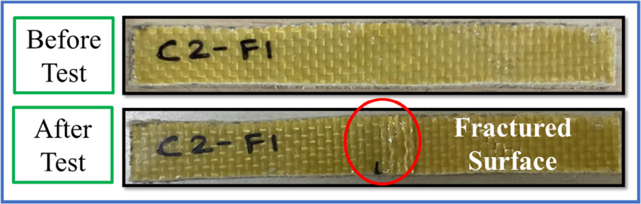 Mechanical and dynamic performance of stainless steel and nylon mesh ...