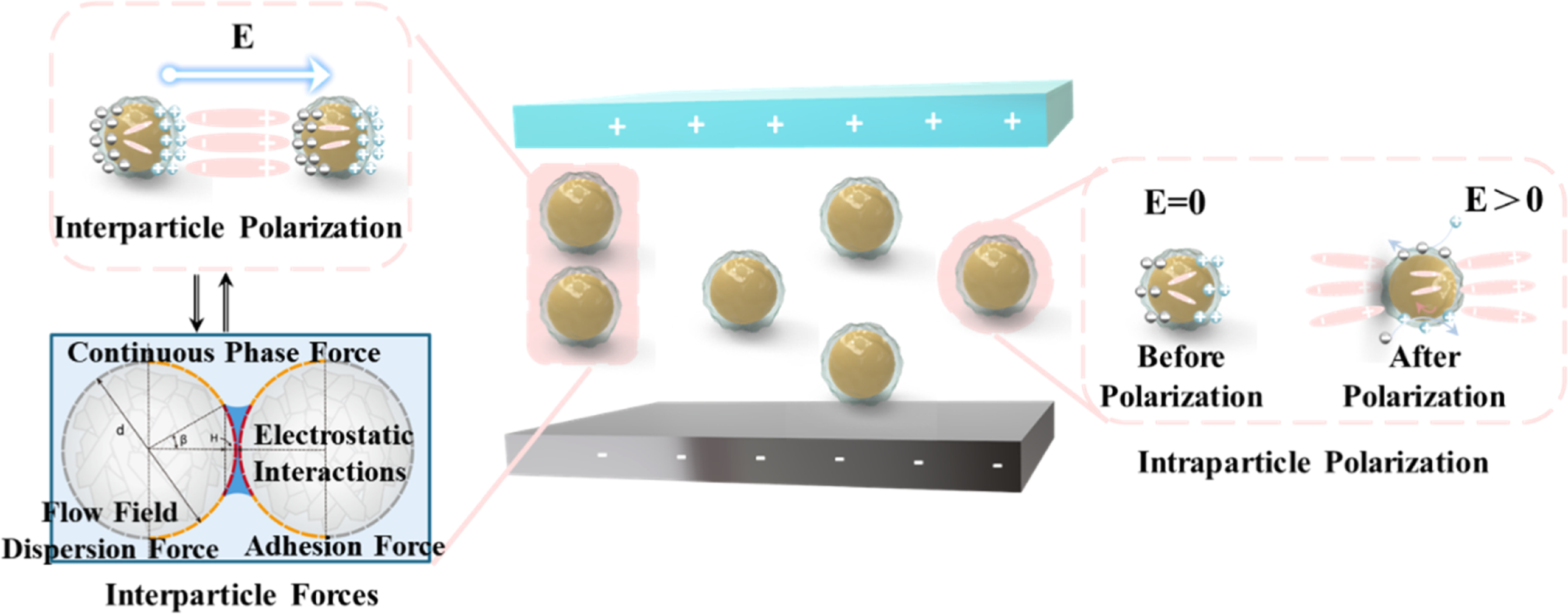 Current electrorheological fluids from a multidisciplinary perspective ...
