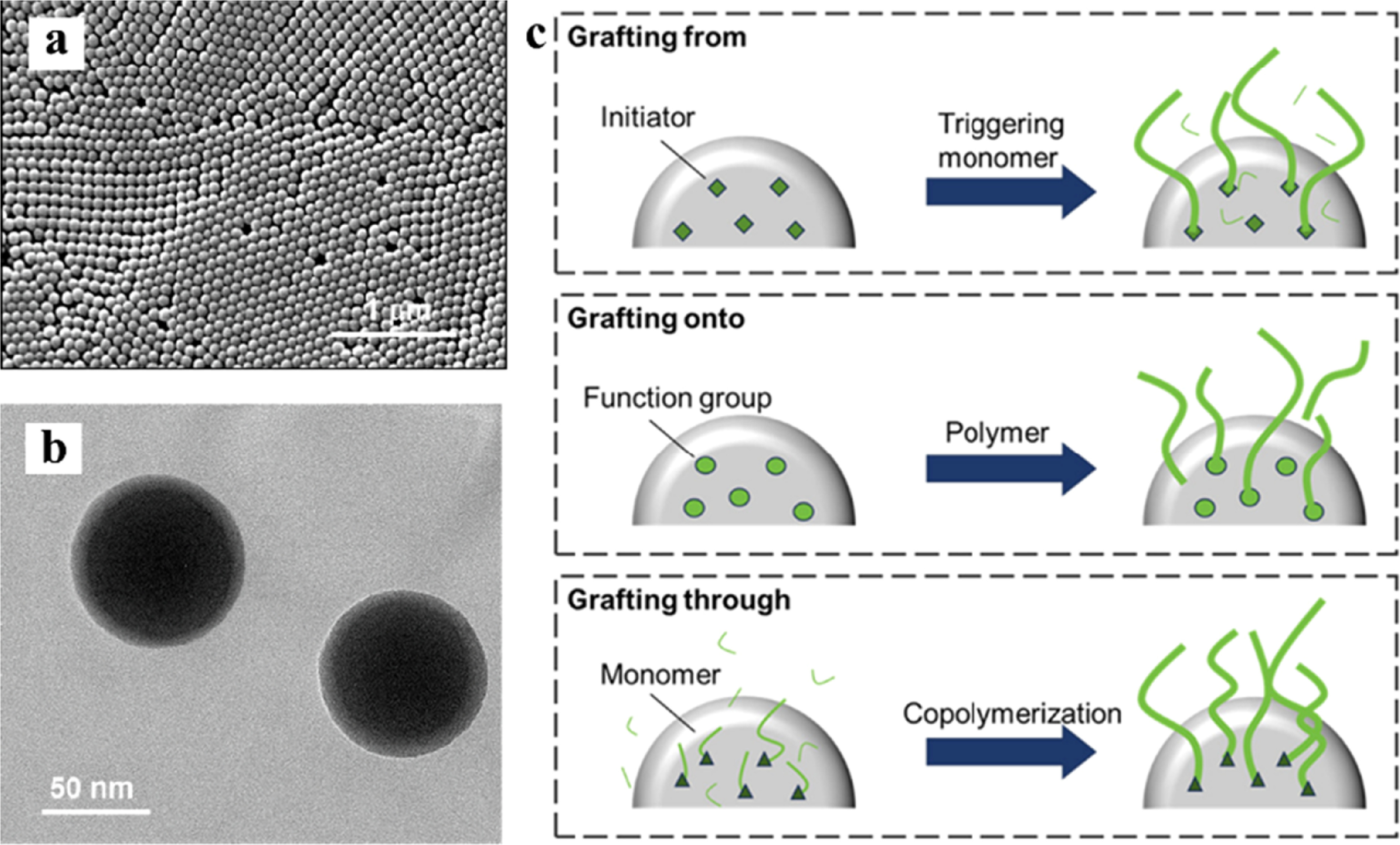 Current electrorheological fluids from a multidisciplinary perspective ...