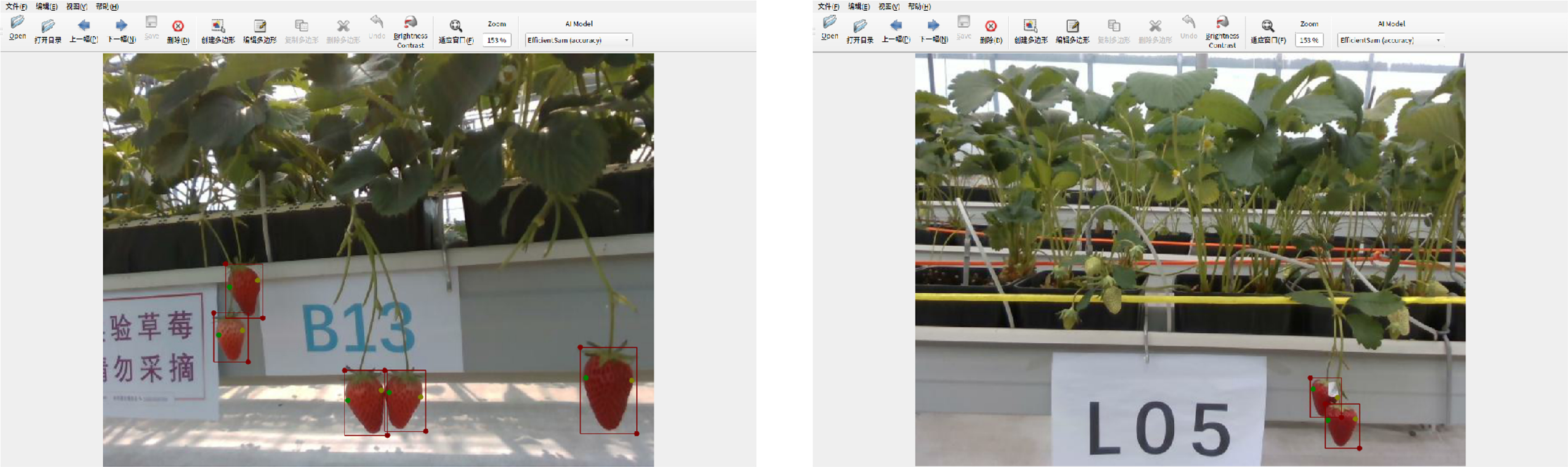 YOLOv11-SKP: an enhanced model for strawberry bounding box and key ...