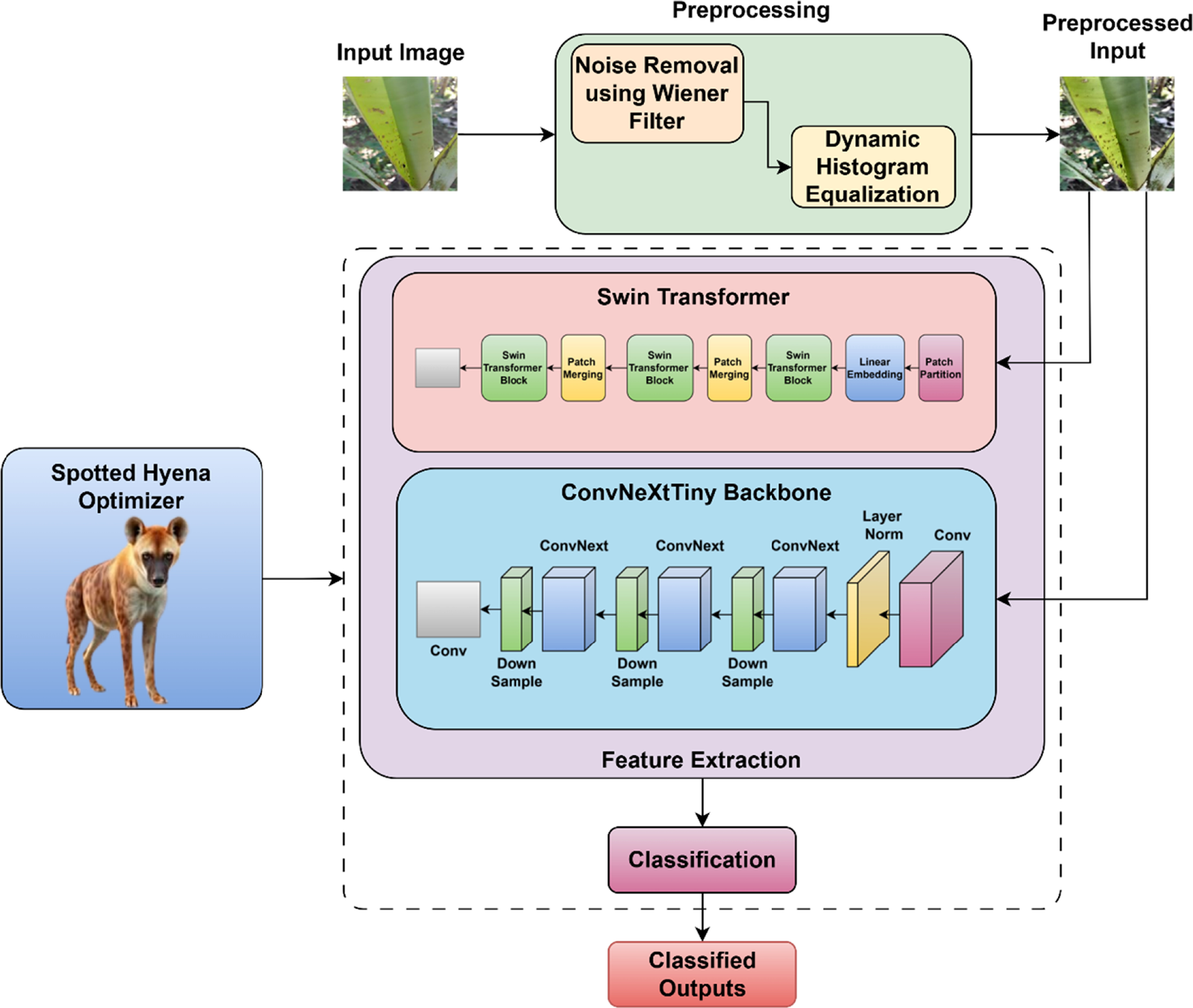 Banana disease detection using Swin Transformer and ConvNeXt-Tiny ...
