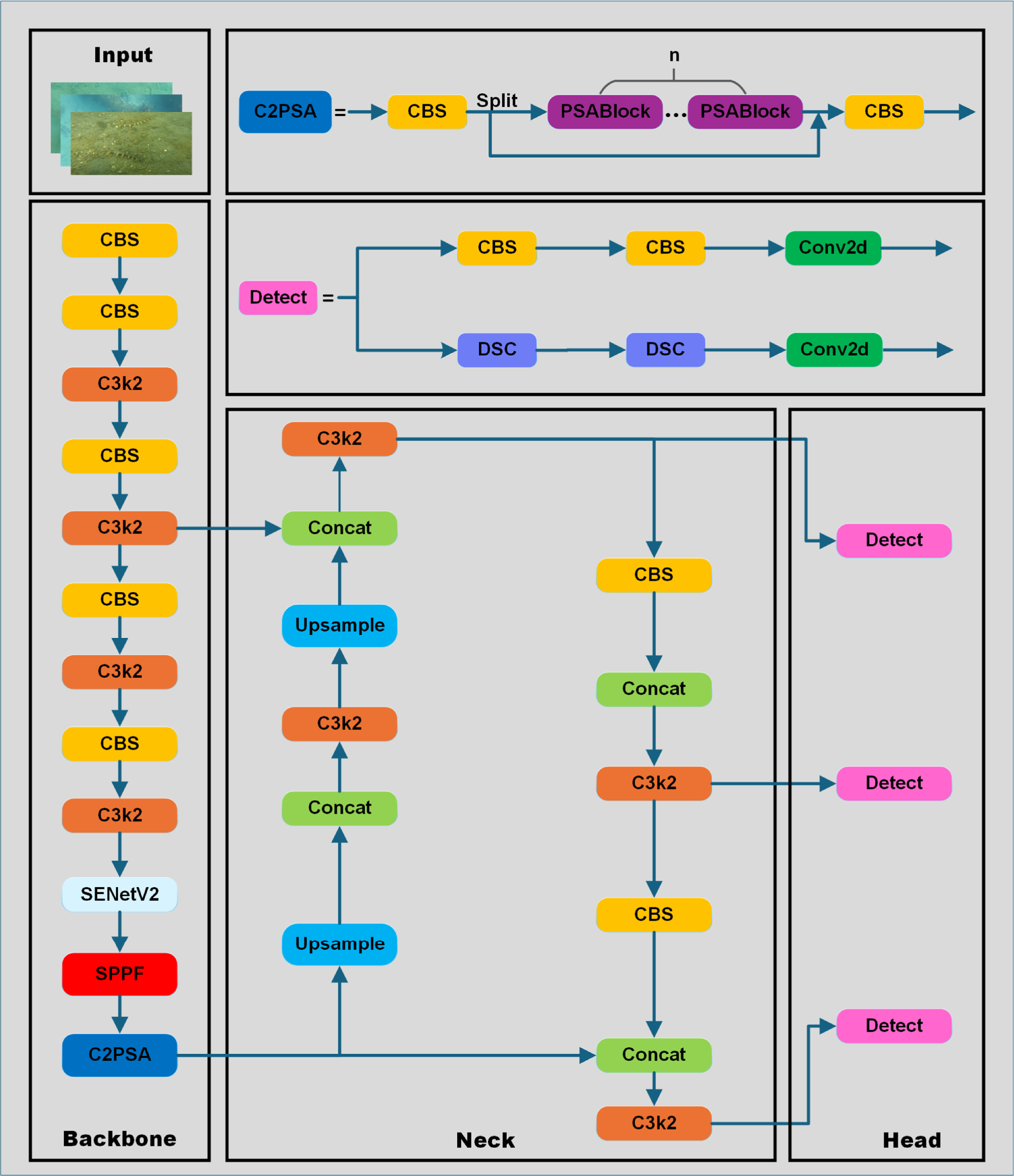 YOLOv11n-ByteTrack: a method for counting farmed Holothurians based on ...