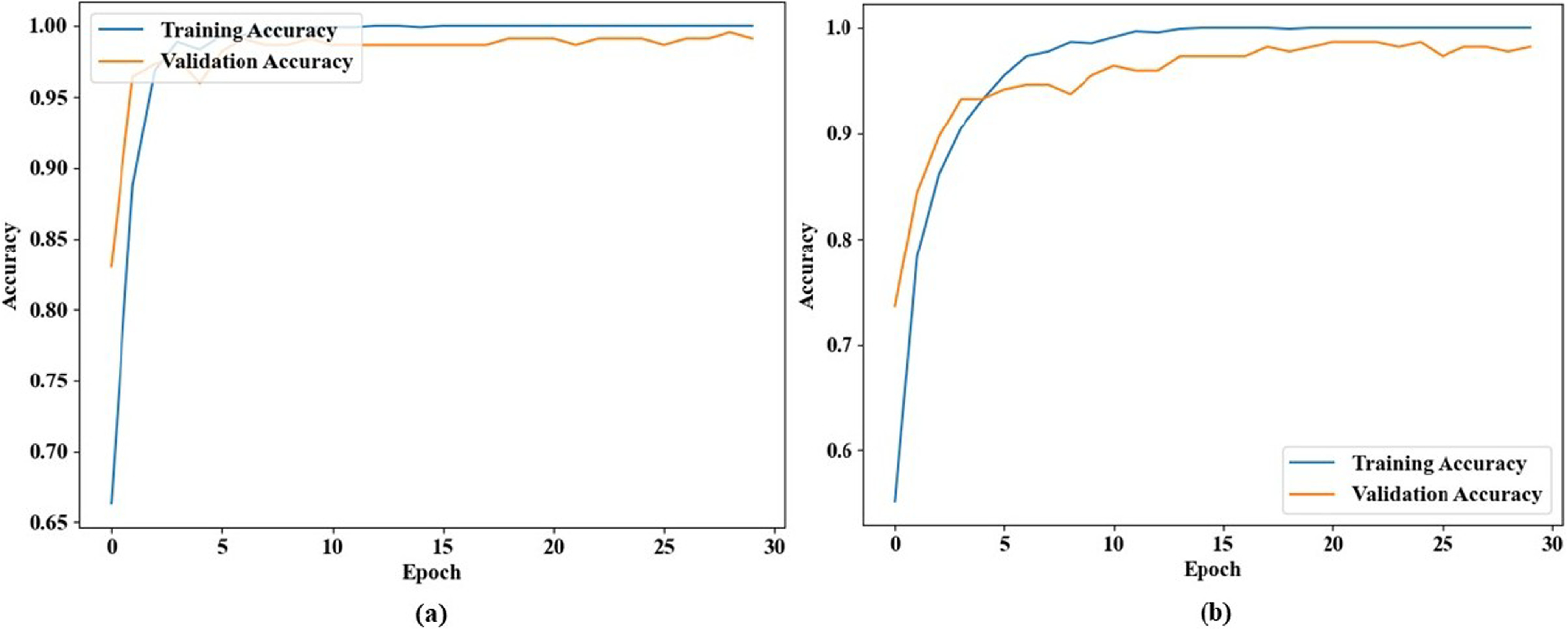 Arrhythmias detection using ECG with deep learning and superlet ...