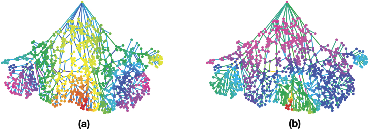 The topological Dirac equation of networks and simplicial complexes ...