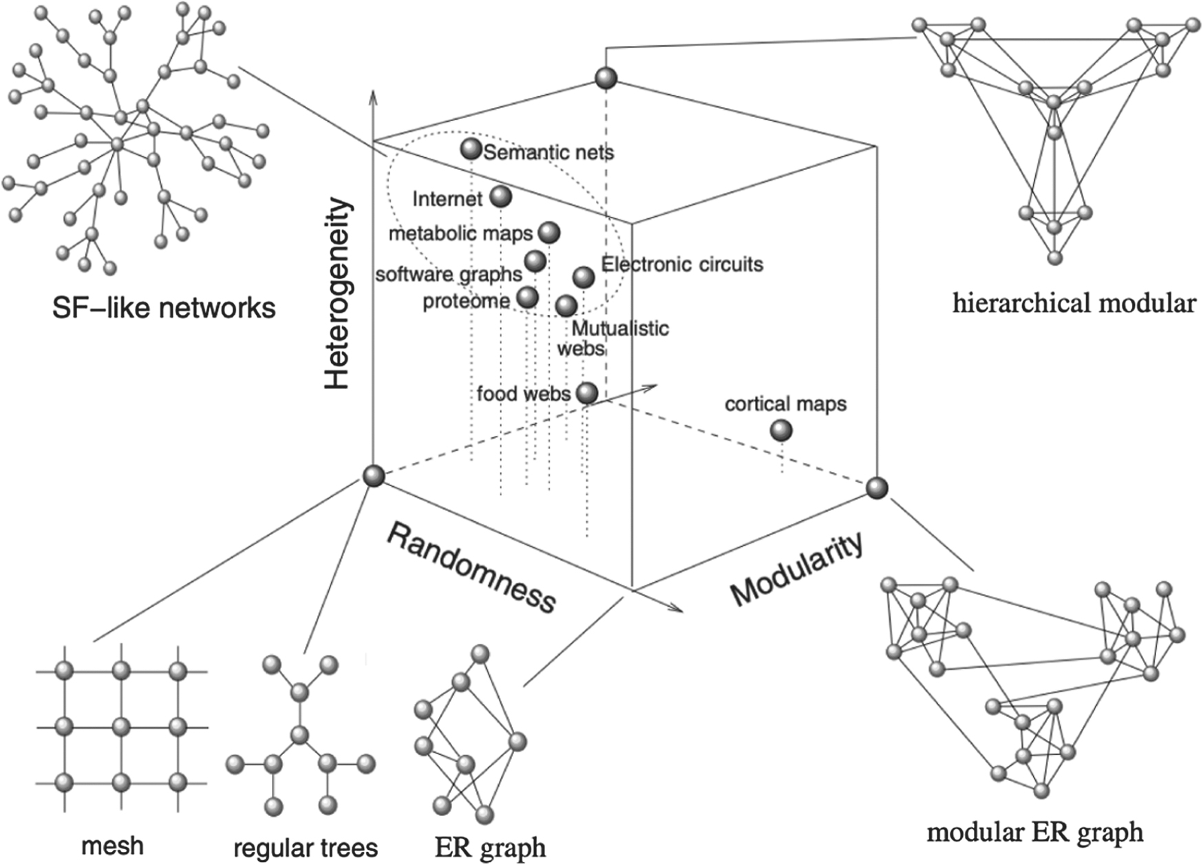 Statistical physics of network structure and information dynamics ...