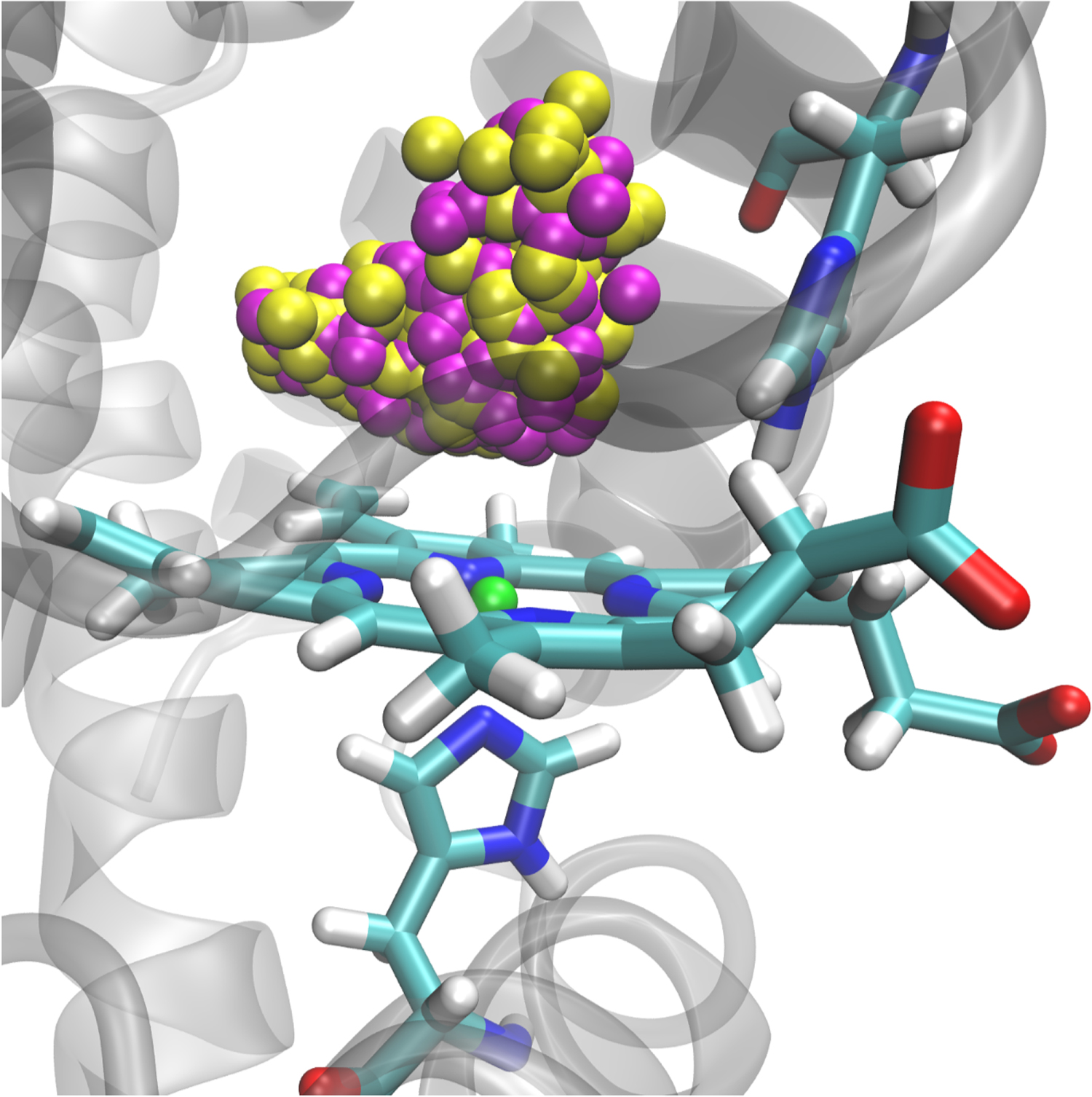 High-dimensional potential energy surfaces for molecular simulations ...