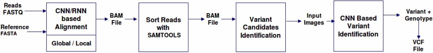 DAVI: Deep learning-based tool for alignment and single nucleotide ...