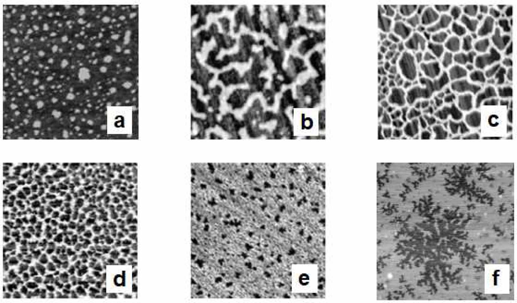 Improving the segmentation of scanning probe microscope images using convolutional neural ...