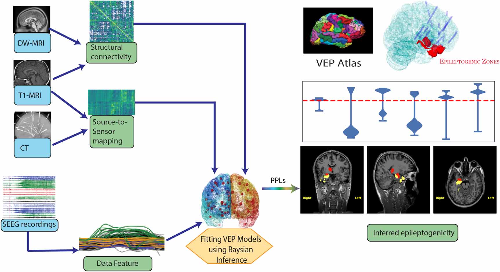 Fully Bayesian estimation of virtual brain parameters with self-tuning ...