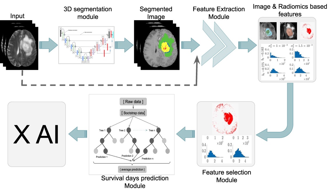 Interpretable machine learning model to predict survival days of ...