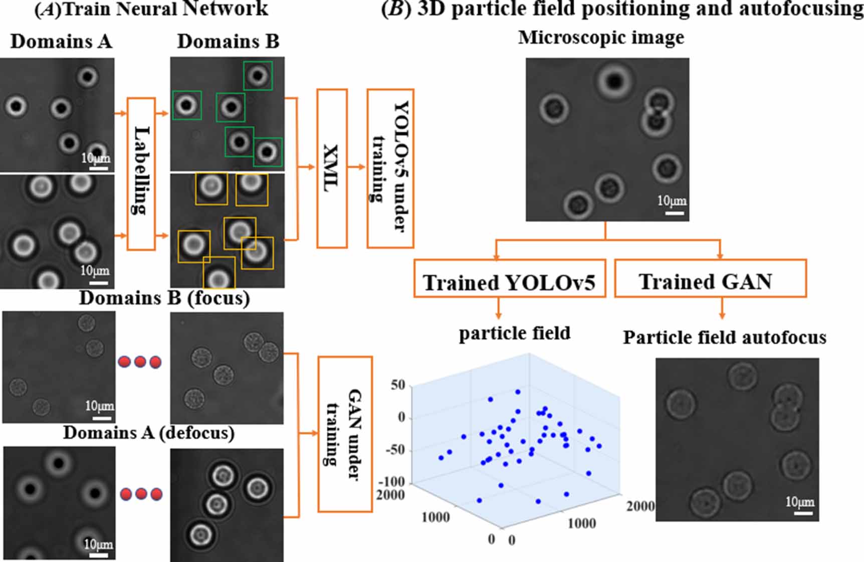 3D positioning and autofocus of the particle field based on the depth-from-defocus method and ...