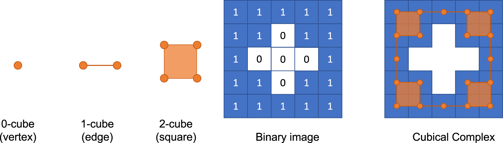 The effects of topological features on convolutional neural networks—an ...