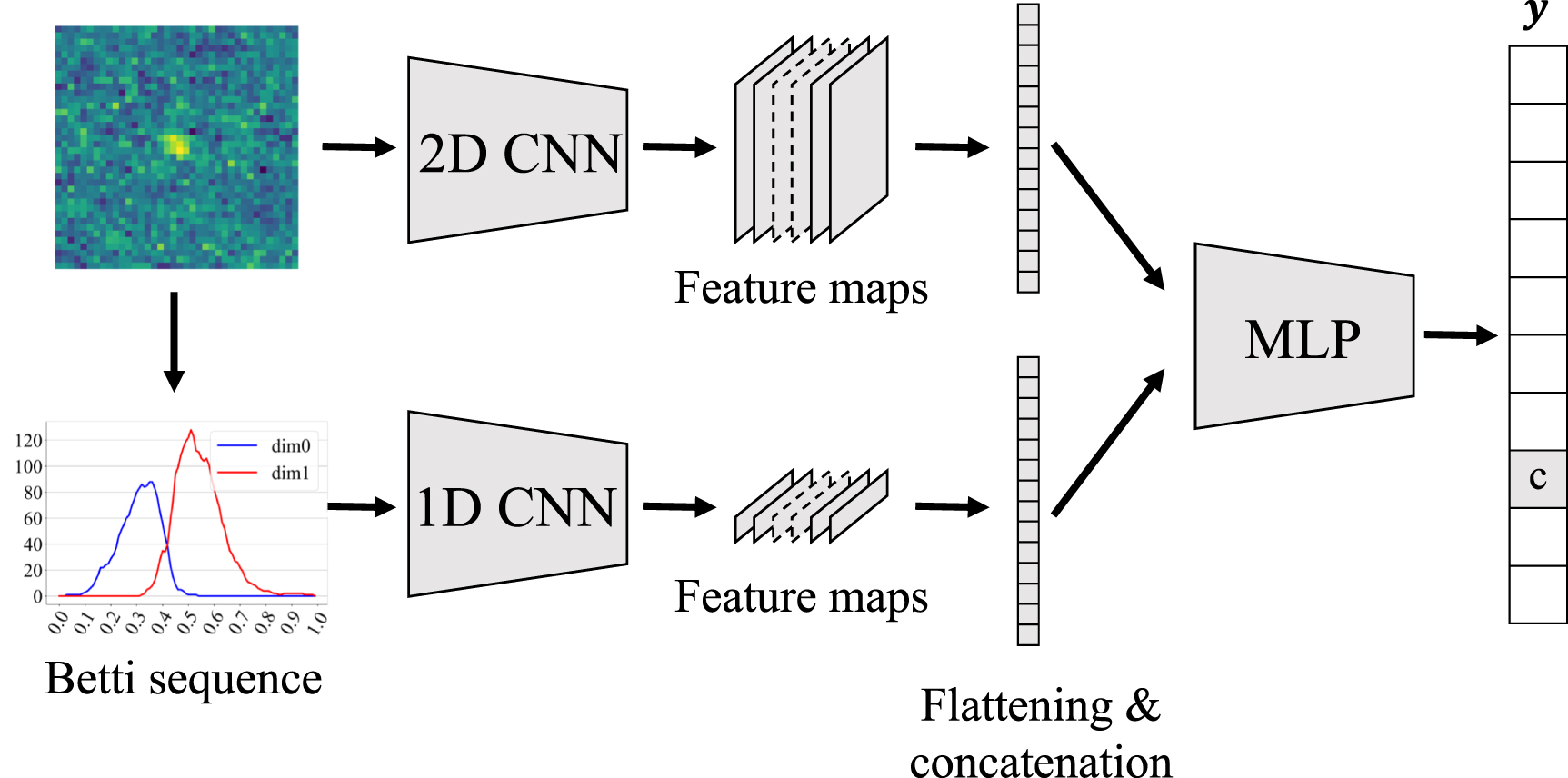 The effects of topological features on convolutional neural networks—an ...
