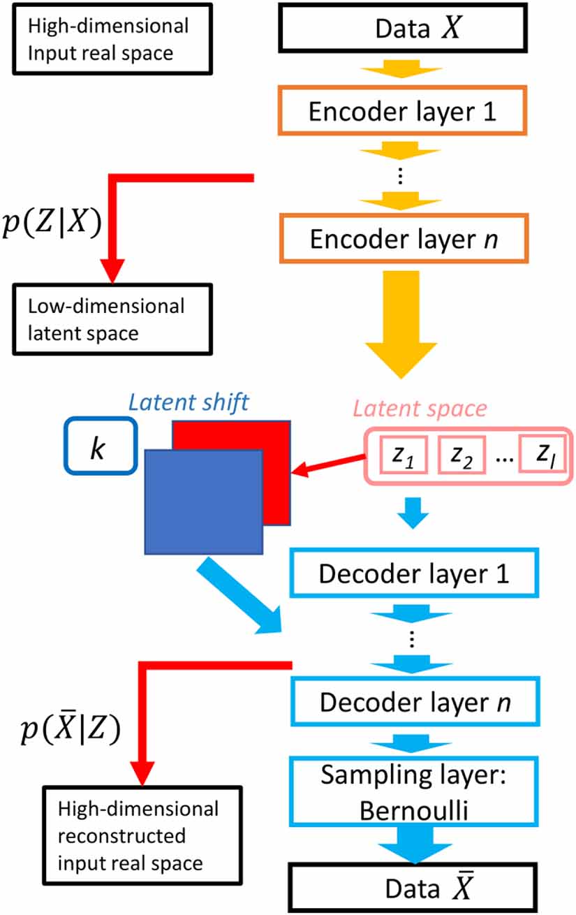 Combining variational autoencoders and physical bias for improved microscopy data analysis ...