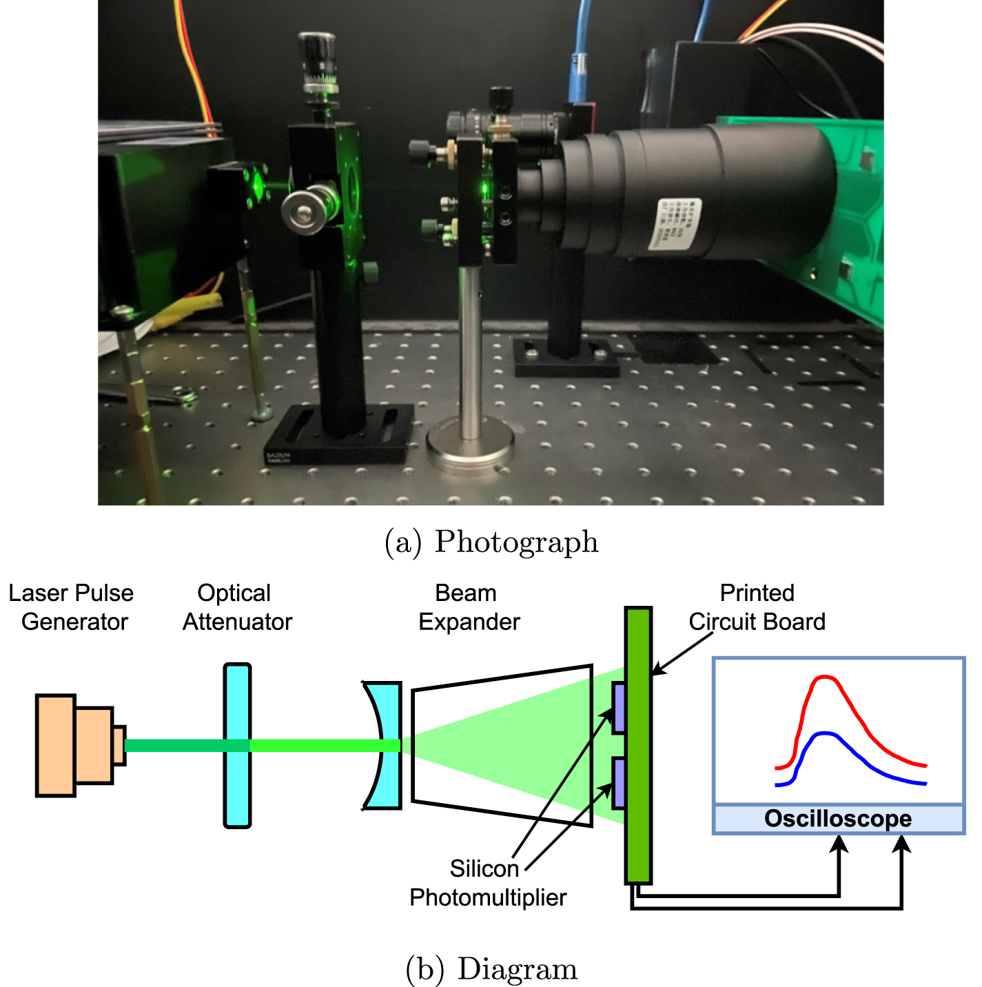 Label-free timing analysis of SiPM-based modularized detectors with physics-constrained deep ...