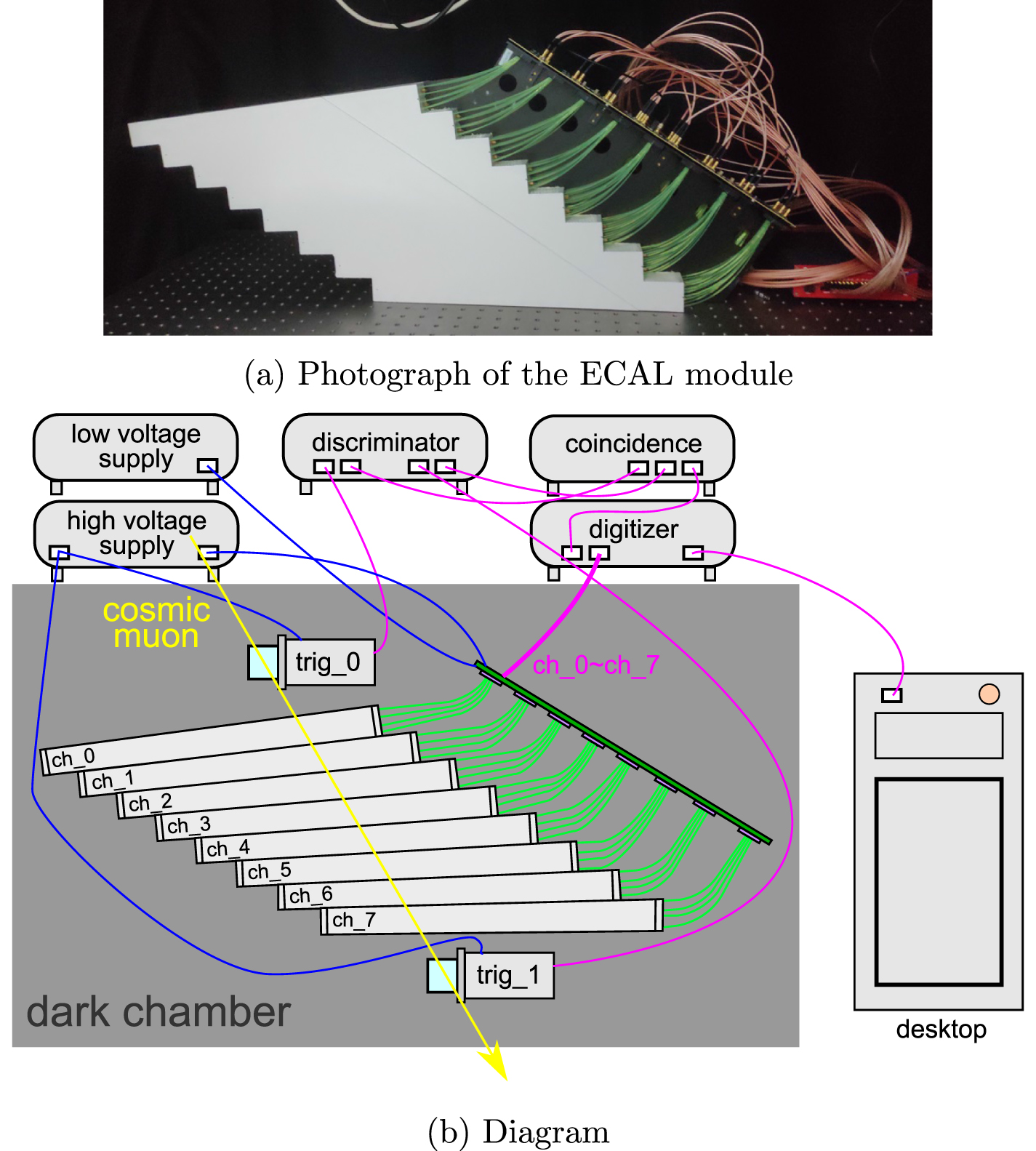 Label-free timing analysis of SiPM-based modularized detectors with physics-constrained deep ...