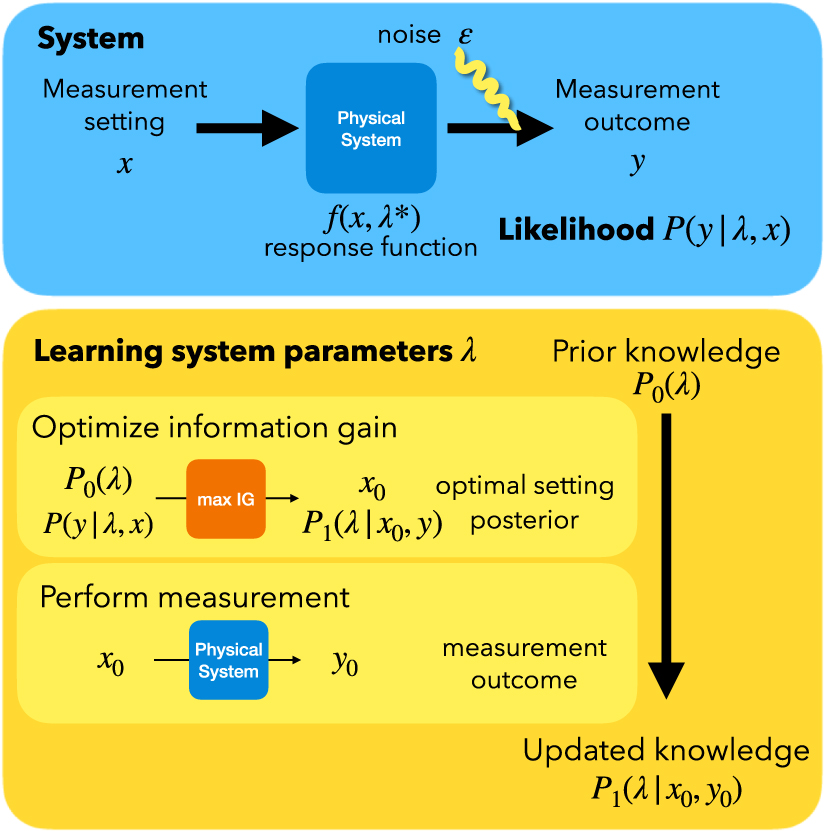 Deep Bayesian experimental design for quantum many-body systems ...