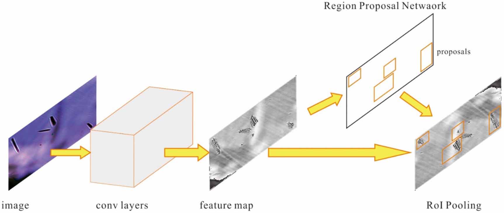 Artificial intelligent identification of apatite fission tracks based ...
