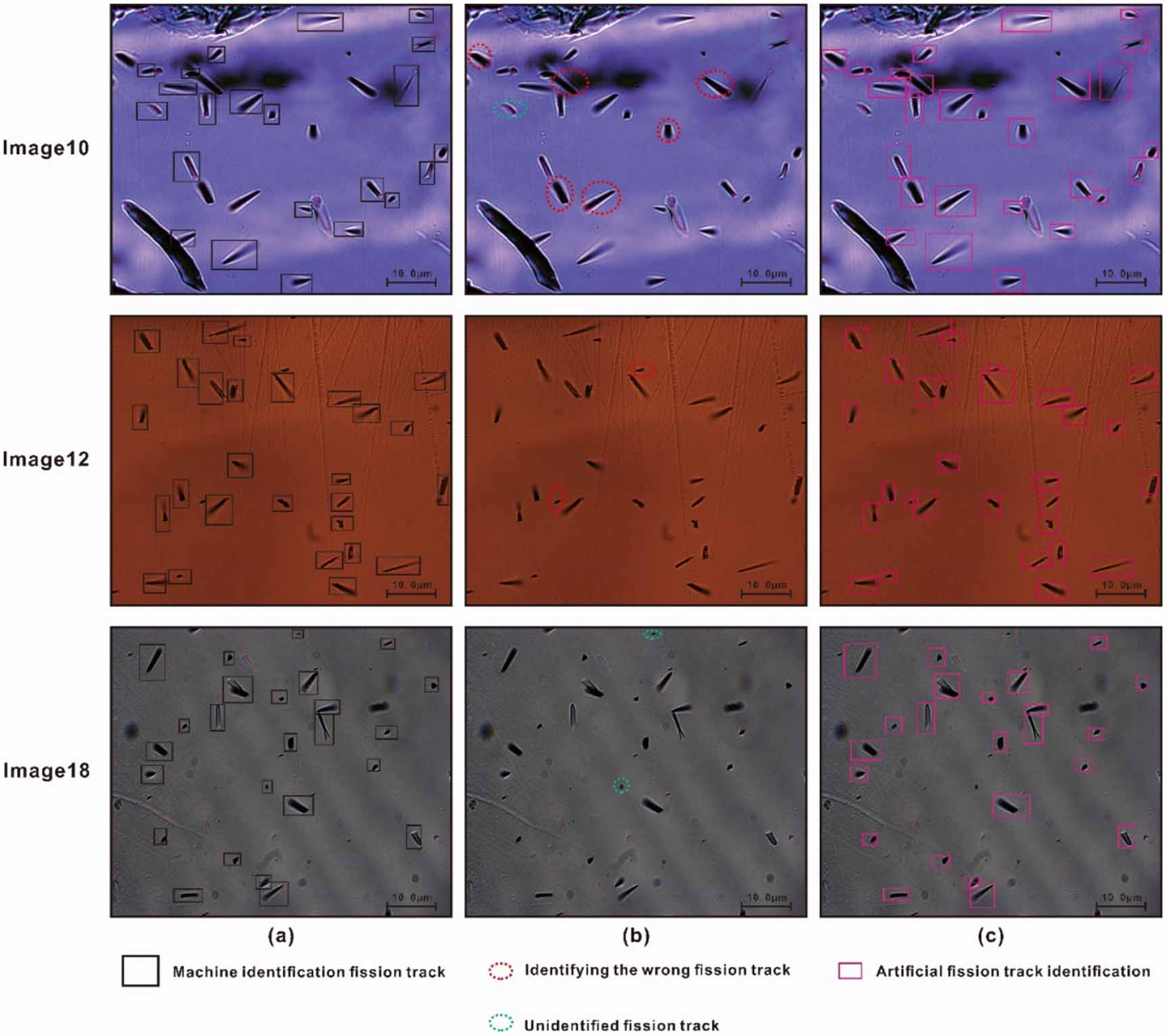 Artificial intelligent identification of apatite fission tracks based ...