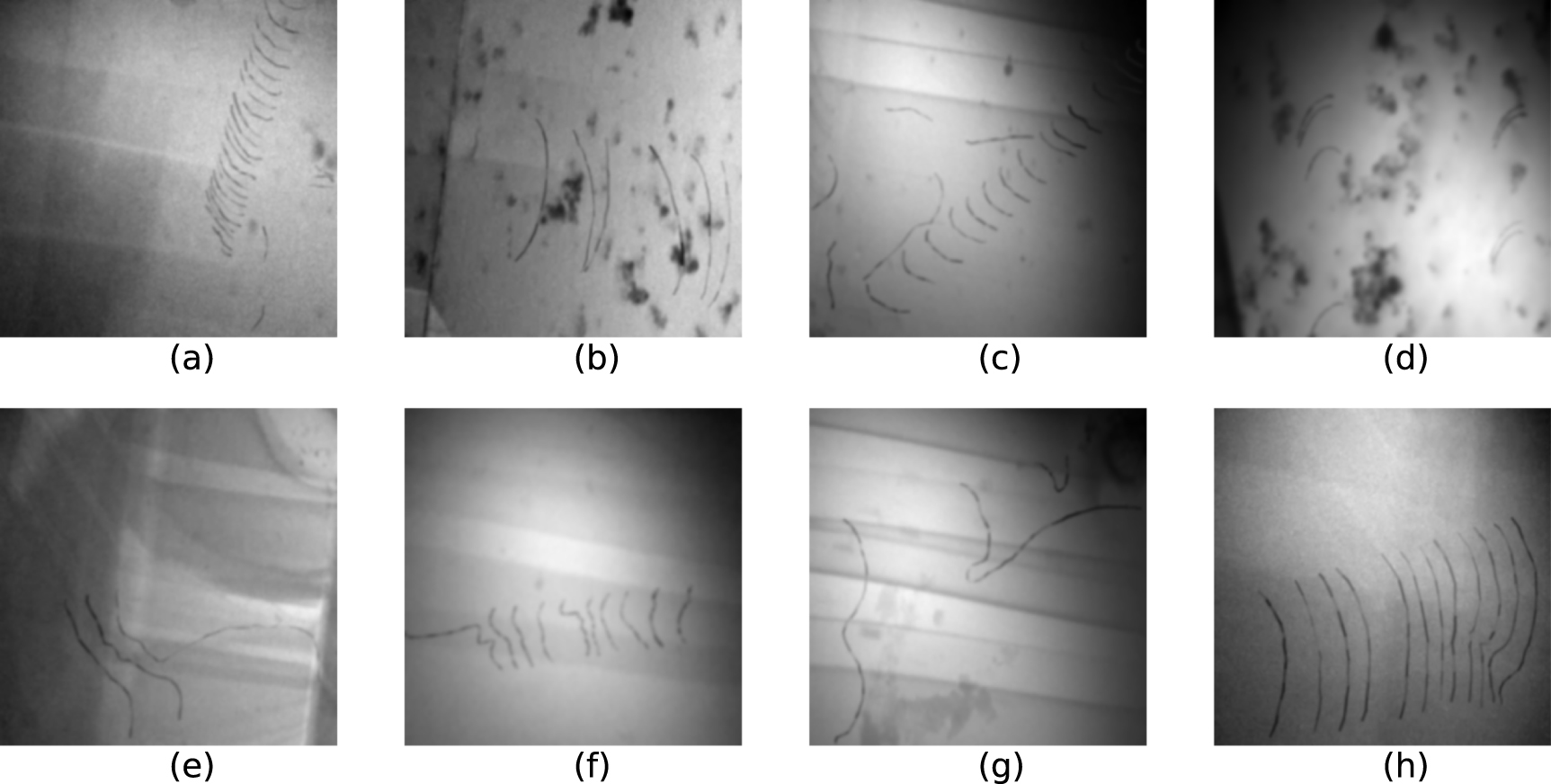 Deep learning of crystalline defects from TEM images: a solution for ...