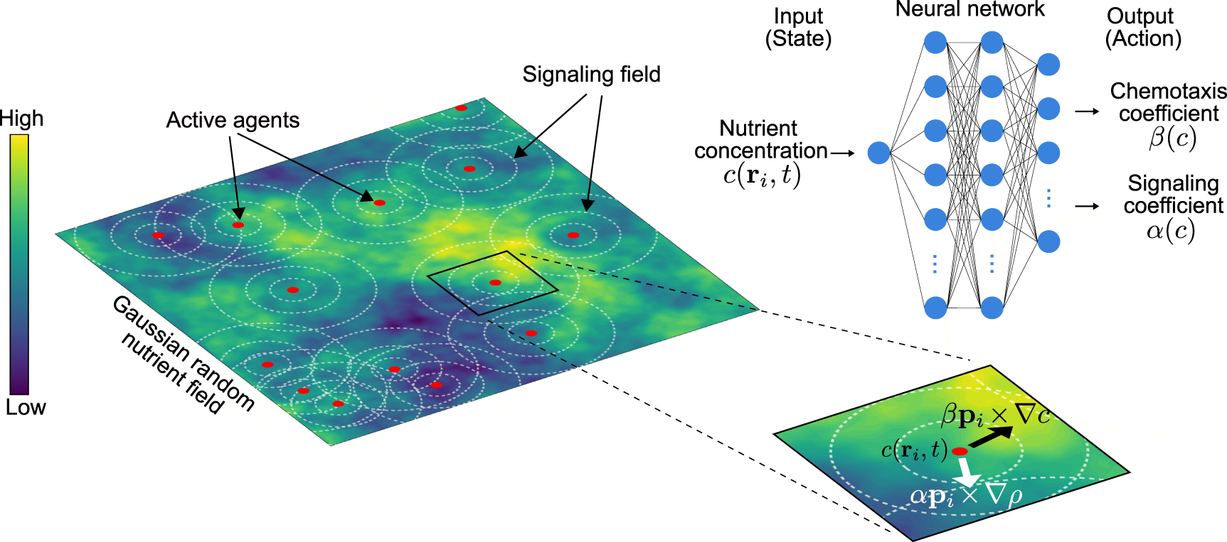 Optimizing collective behavior of communicating active particles with ...