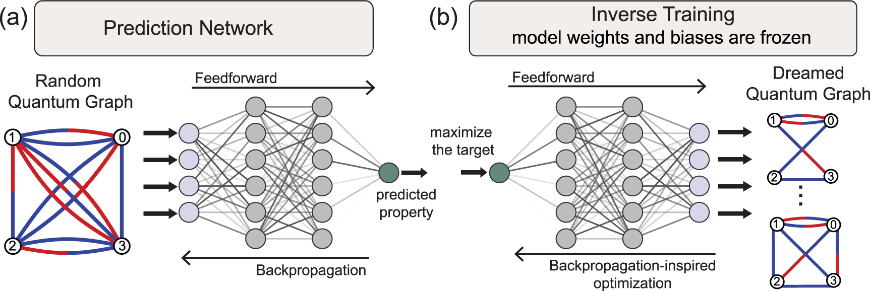Deep quantum graph dreaming: deciphering neural network insights into ...