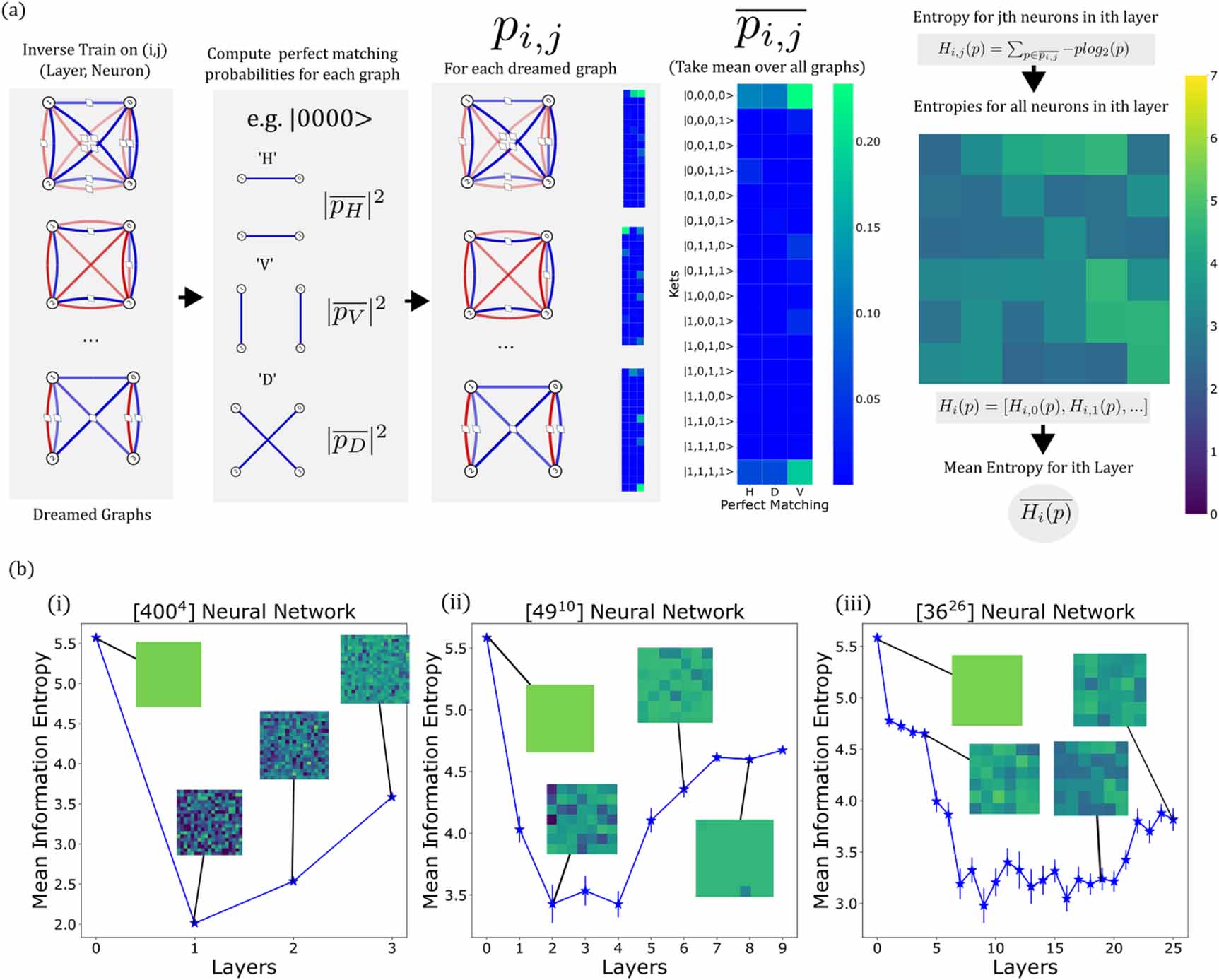 Deep quantum graph dreaming: deciphering neural network insights into ...