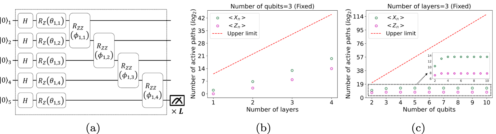 Interpreting variational quantum models with active paths in parameterized quantum circuits ...