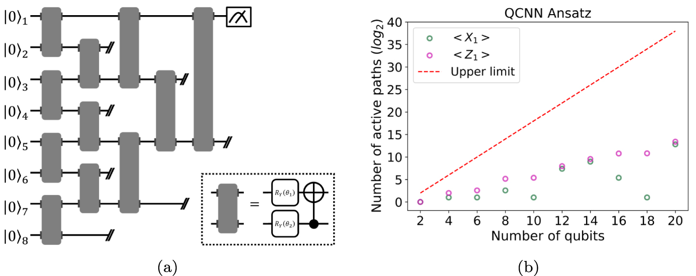 Interpreting variational quantum models with active paths in parameterized quantum circuits ...