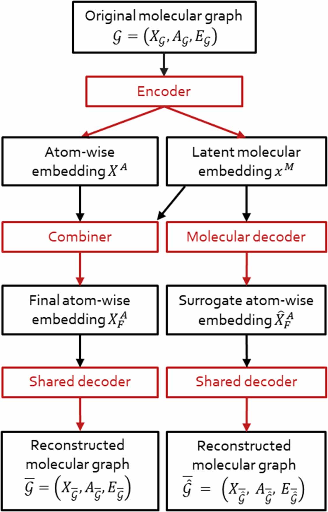 AMCG: a graph dual atomic-molecular conditional molecular generator ...