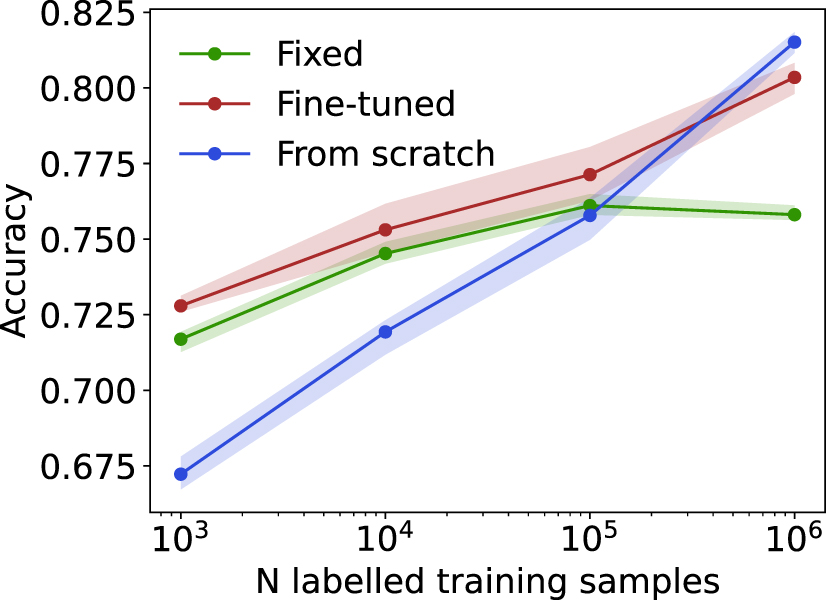Masked particle modeling on sets: towards self-supervised high energy ...