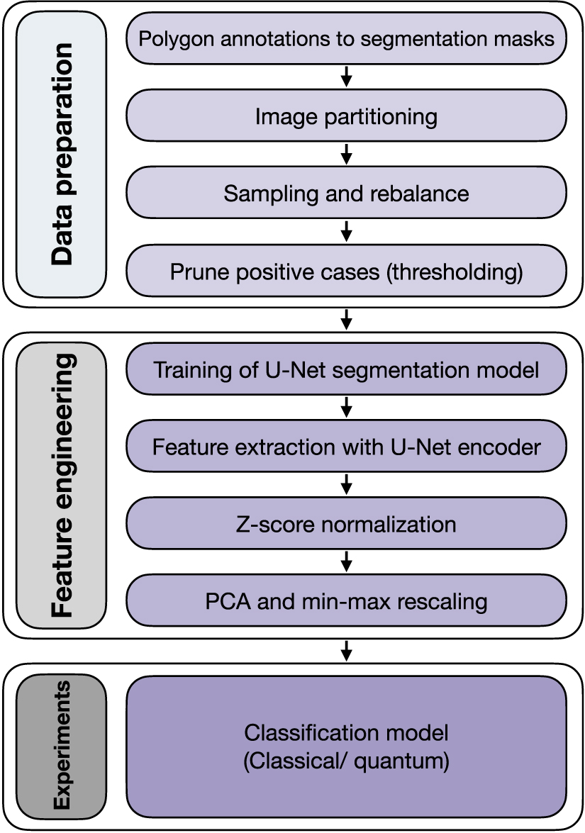 Satellite image classification with neural quantum kernels - IOPscience