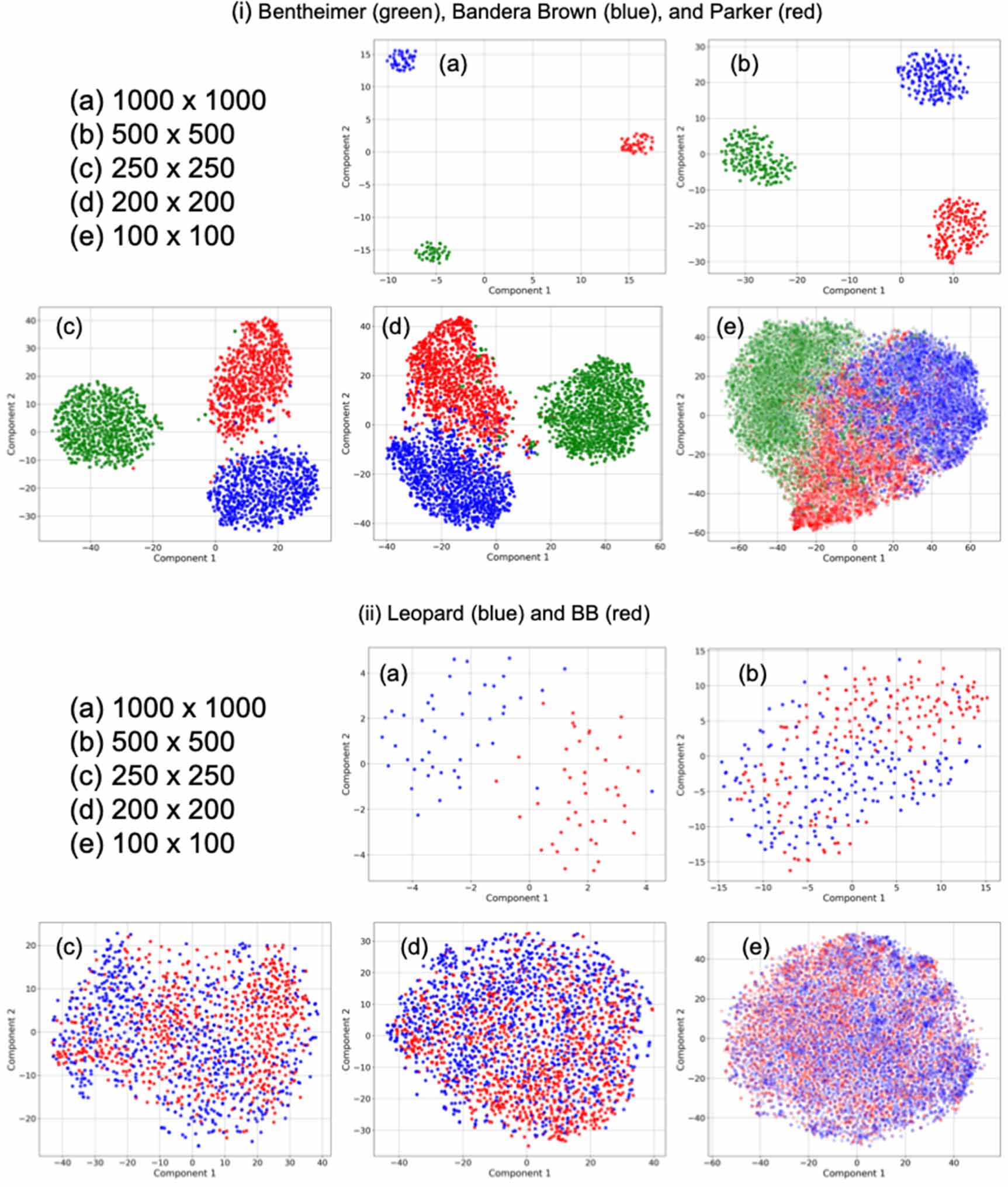 Feature extraction and classification of digital rock images via pre ...