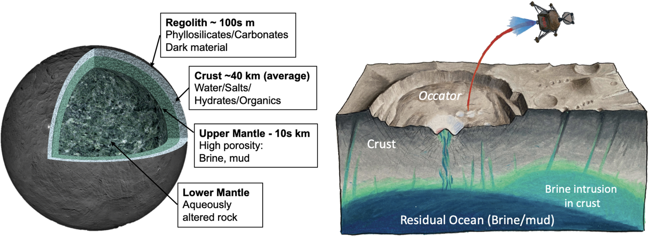 Science Drivers for the Future Exploration of Ceres: From Solar System ...