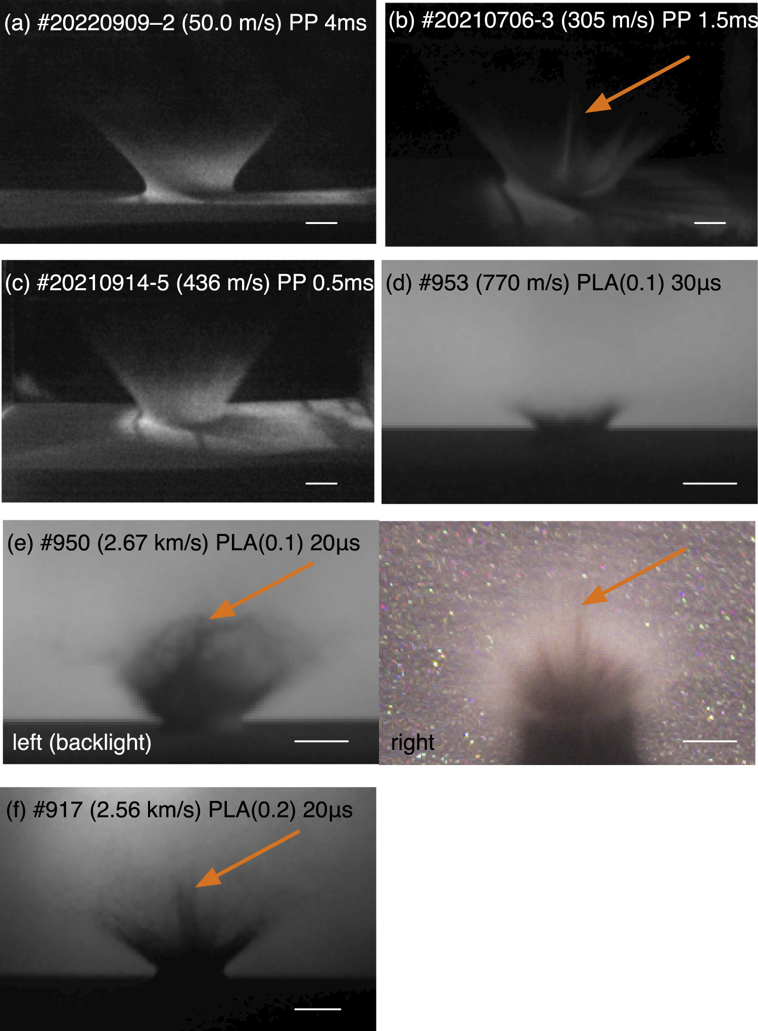 Observation of Vertically Ejected Plumes Generated by the Impact of ...
