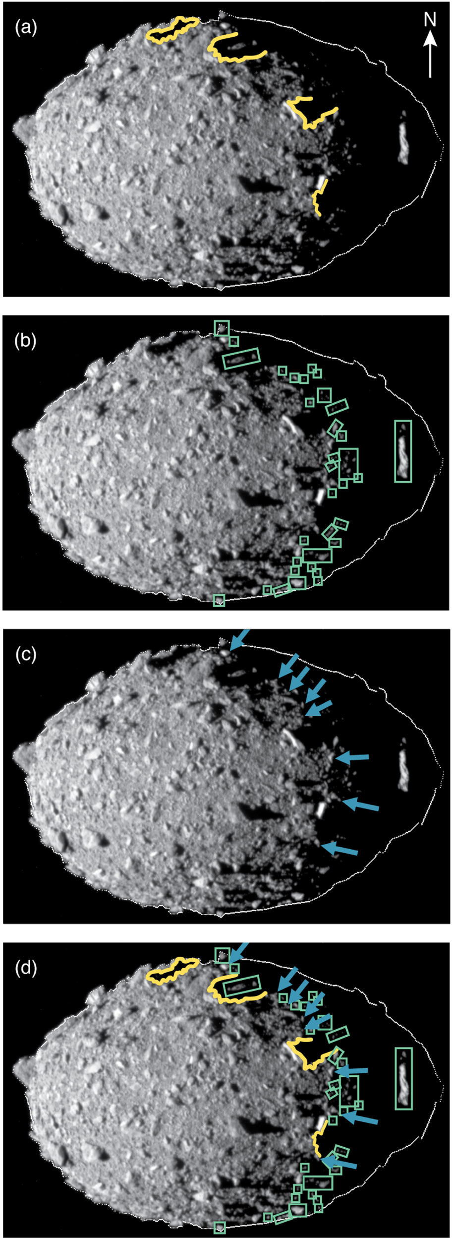 An Updated Shape Model of Dimorphos from DART Data - IOPscience