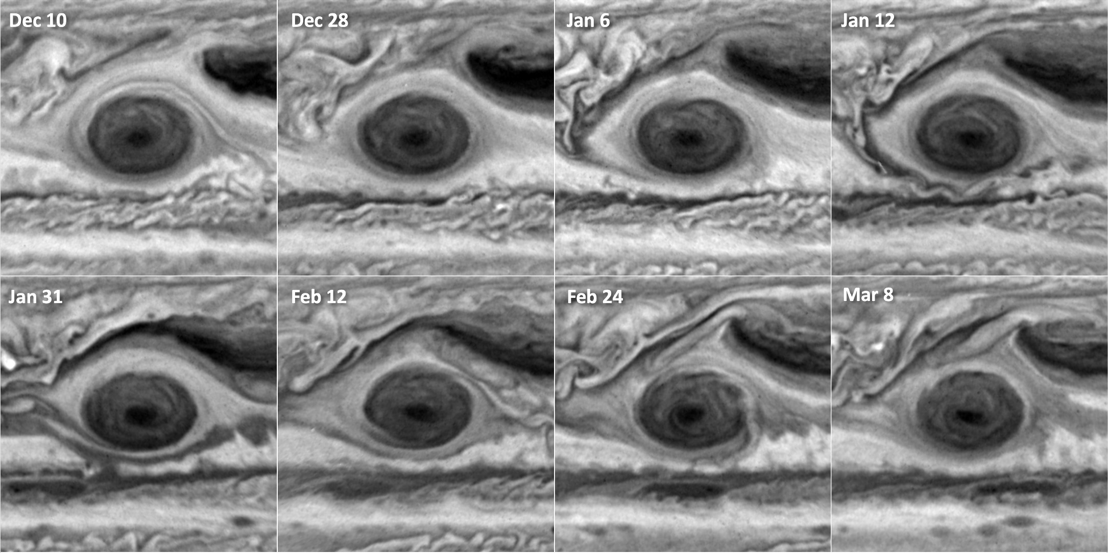 A Detailed Study of Jupiter’s Great Red Spot over a 90-day Oscillation ...