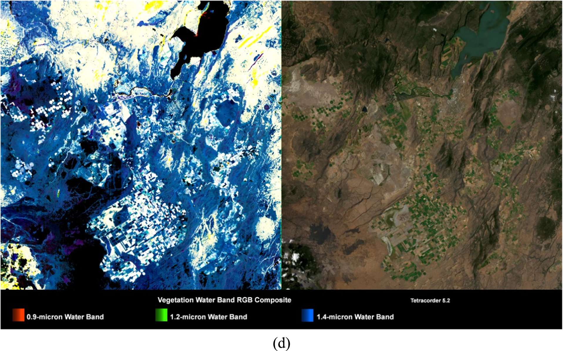 Imaging Spectroscopy: Earth and Planetary Remote Sensing with the PSI ...