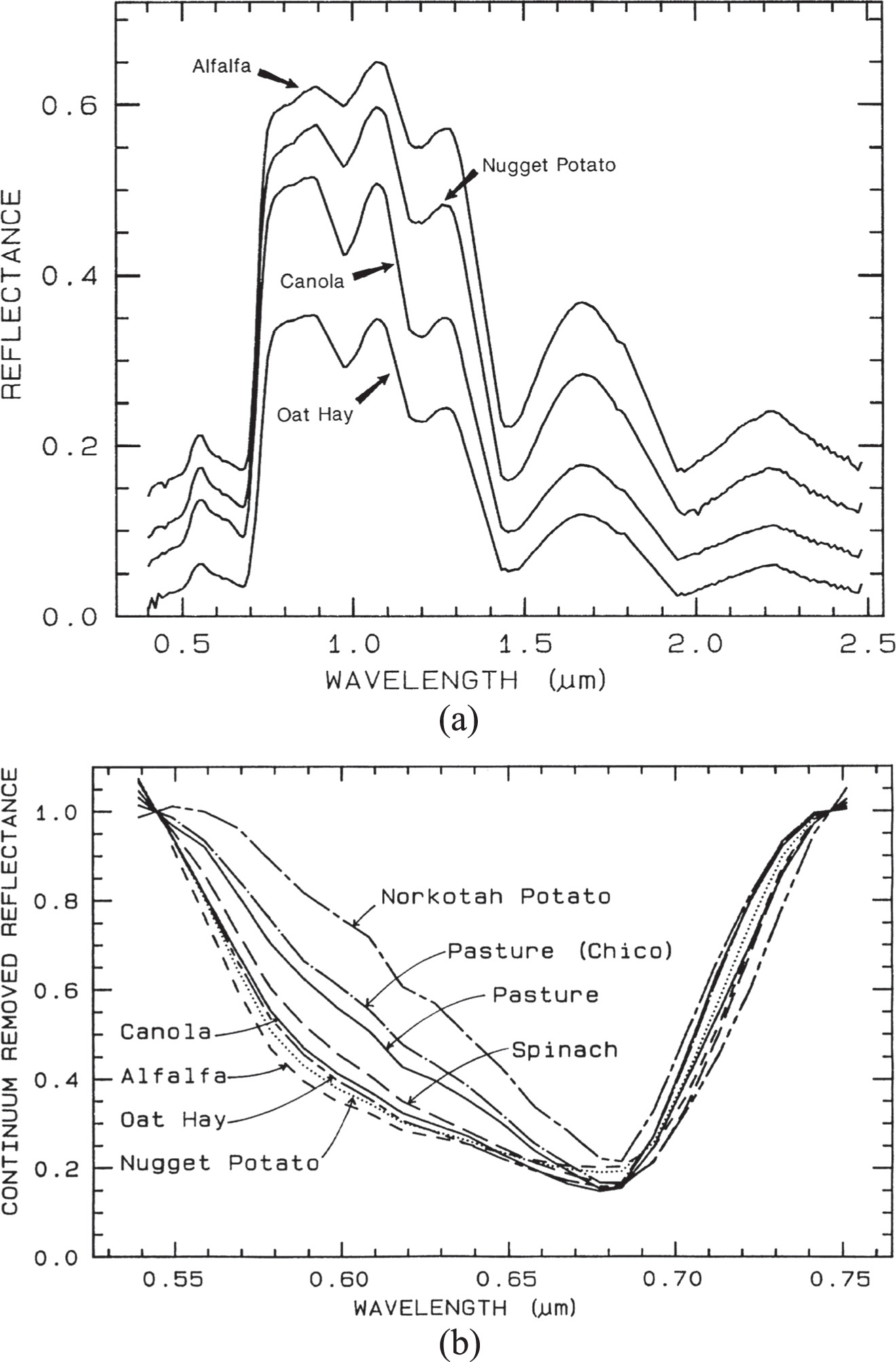 Imaging Spectroscopy: Earth and Planetary Remote Sensing with the PSI ...
