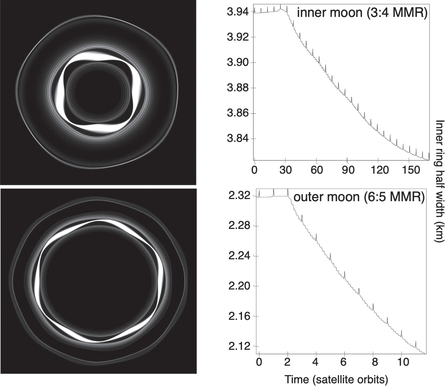 Numerical Simulations of (10199) Chariklo's Rings with a Resonant ...