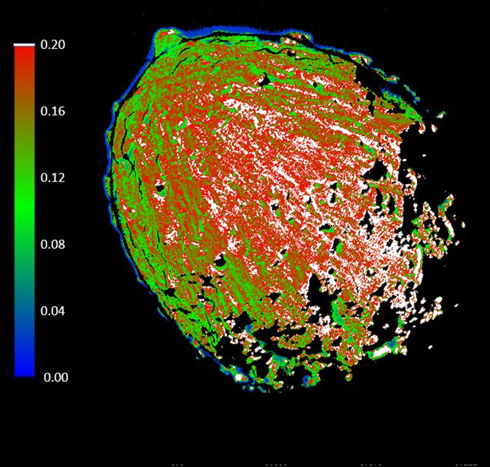 Pre-impact Albedo Map and Photometric Properties of the (65803) Didymos Asteroid Binary System ...
