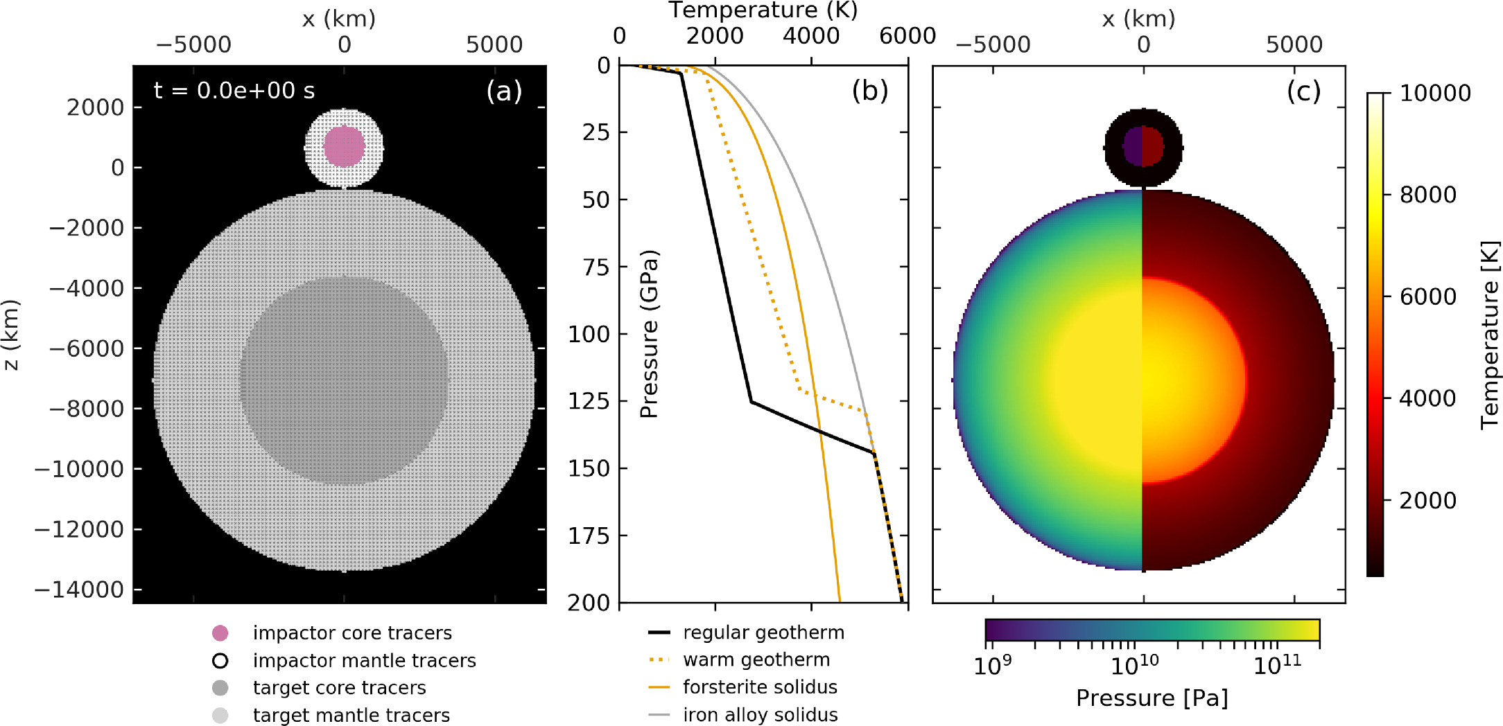 The Distribution of Impactor Core Material During Large Impacts on ...