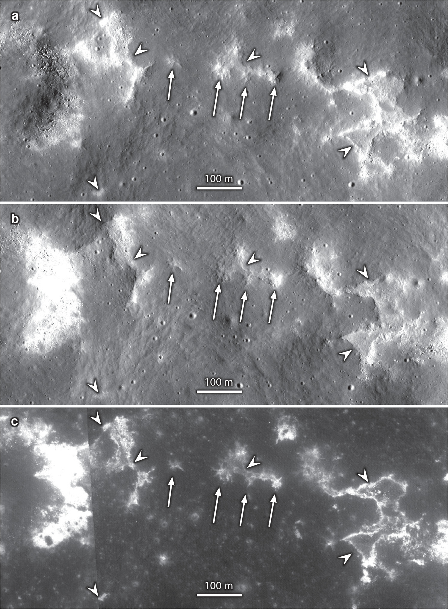 "Spiders" on the Moon: Morphological Evidence for Geologically Recent ...