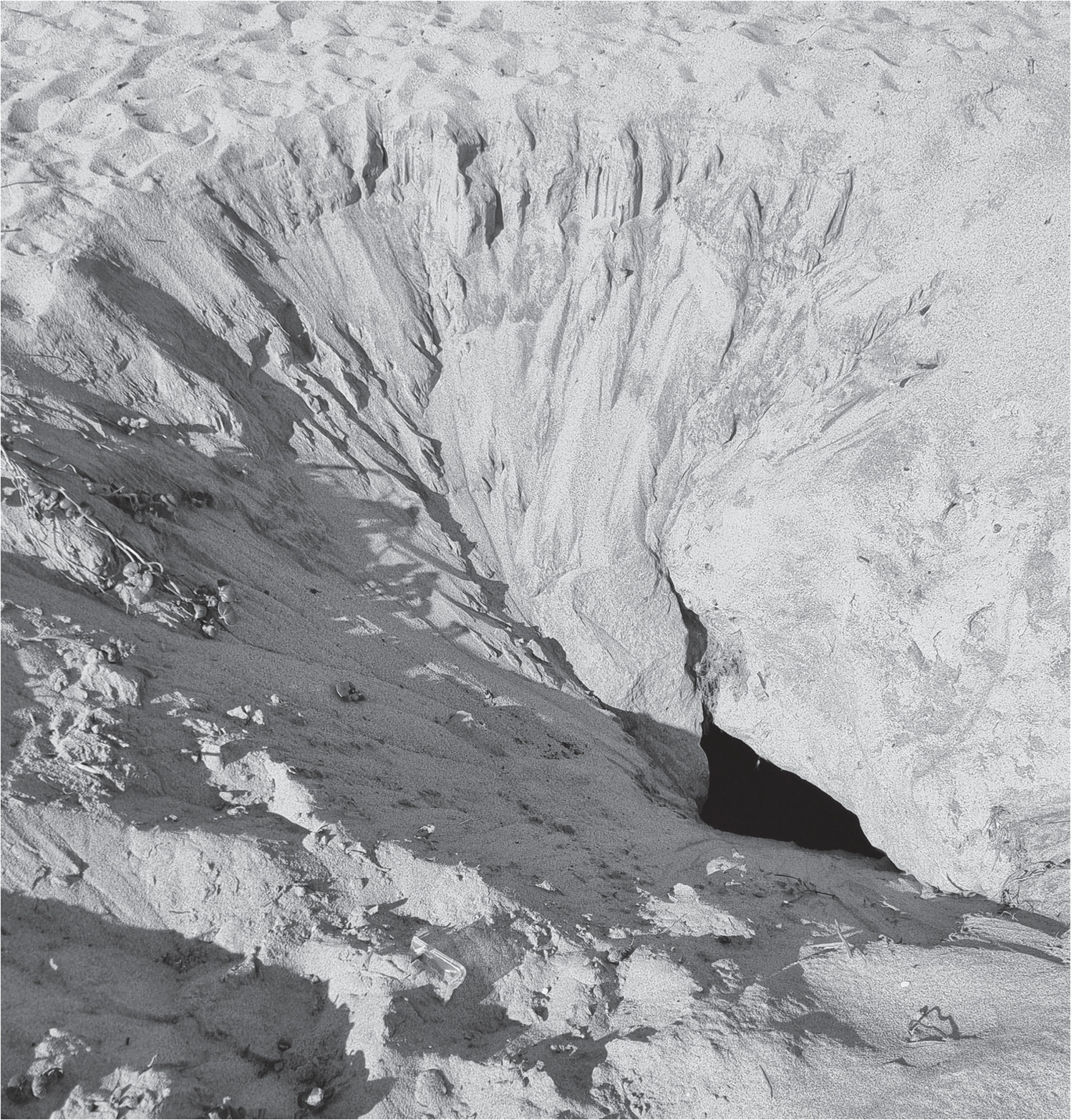 "Spiders" on the Moon: Morphological Evidence for Geologically Recent ...